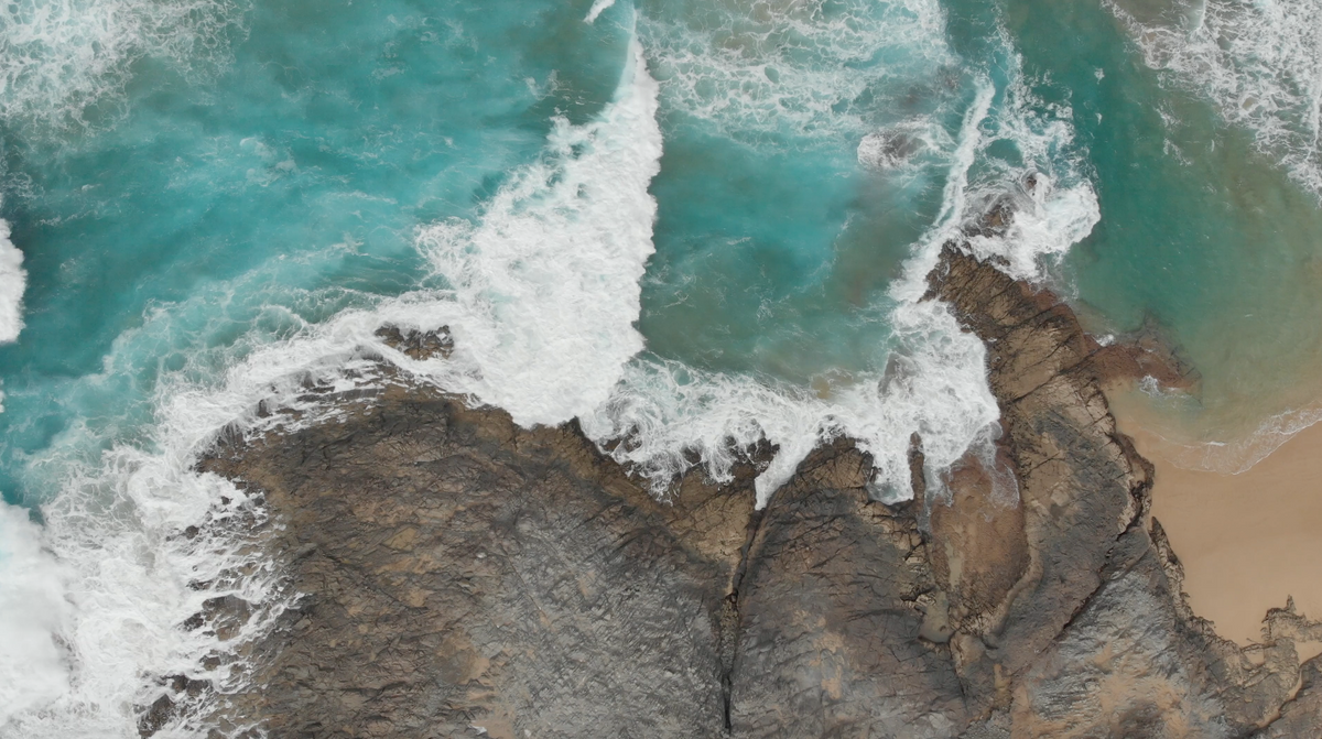The Beach Corner – The Beach Corner LLC